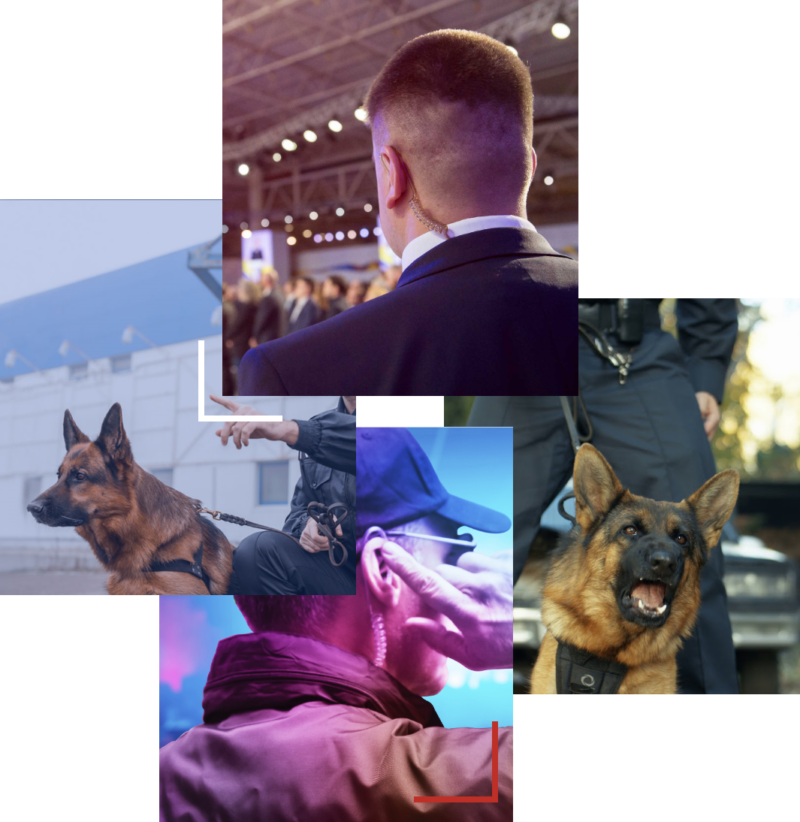 DT SÉCURITÉ PRIVÉE– Rejoignez-nous à Châteaubriant